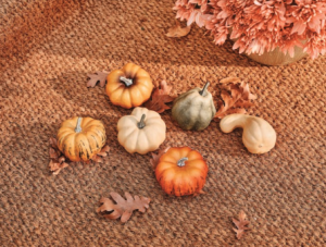 Fall for These Harvest Decor Ideas from RONA - Living Local Magazine