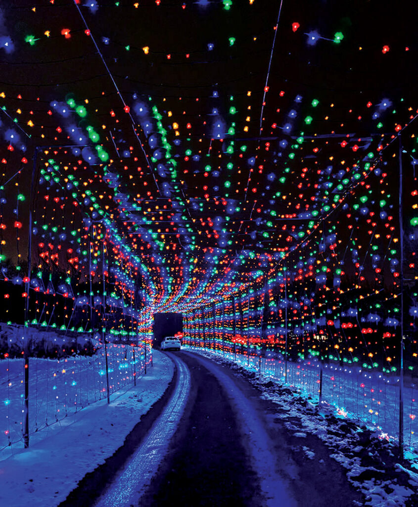 Gift of Lights at Bingemans - Living Local Magazine